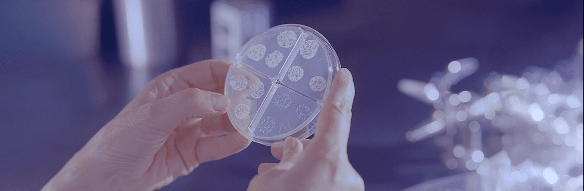 Biotechnology in Medicine: Trends and Technologies of 2024